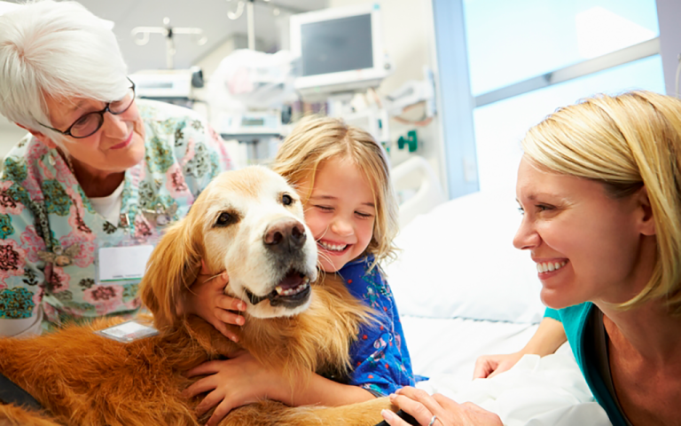 Descubre cómo la Terapia con Perros en Madrid Cambia Vidas