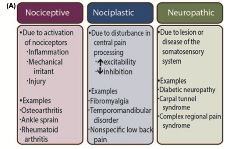 DOLOR NOCICEPTIVO vs NEUROPÁTICO: Cuál es la Diferencia
