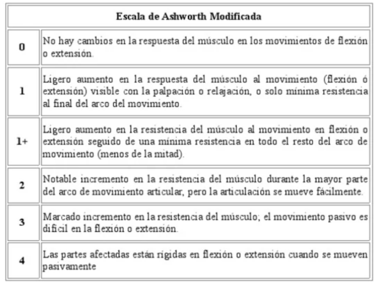 Escala Ashworth: Evaluación y Claves Clínicas en Madrid
