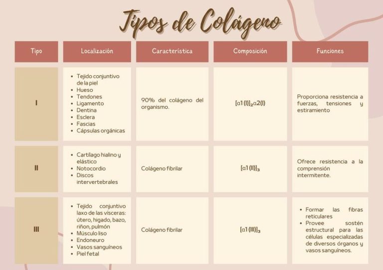 Tipos de COLÁGENO: Qué es y sus CARACTERÍSTICAS CLAVE